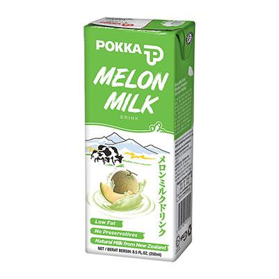 Melon Milk Drink (240ml/500ml)| POKKA